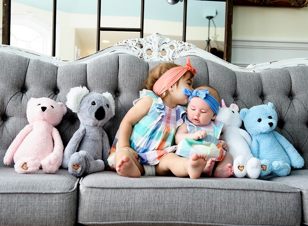 Heartbeat Animals - Beach Bump Imaging - Bradenton/Sarasota Elective 3D ...
